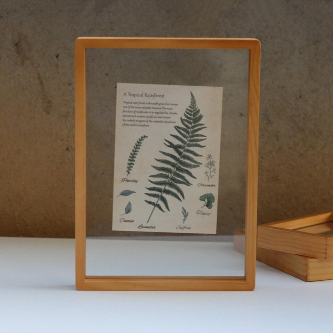 Pinewood Floating Frame With Rounded Corners, Double Side Frame, Glass ...