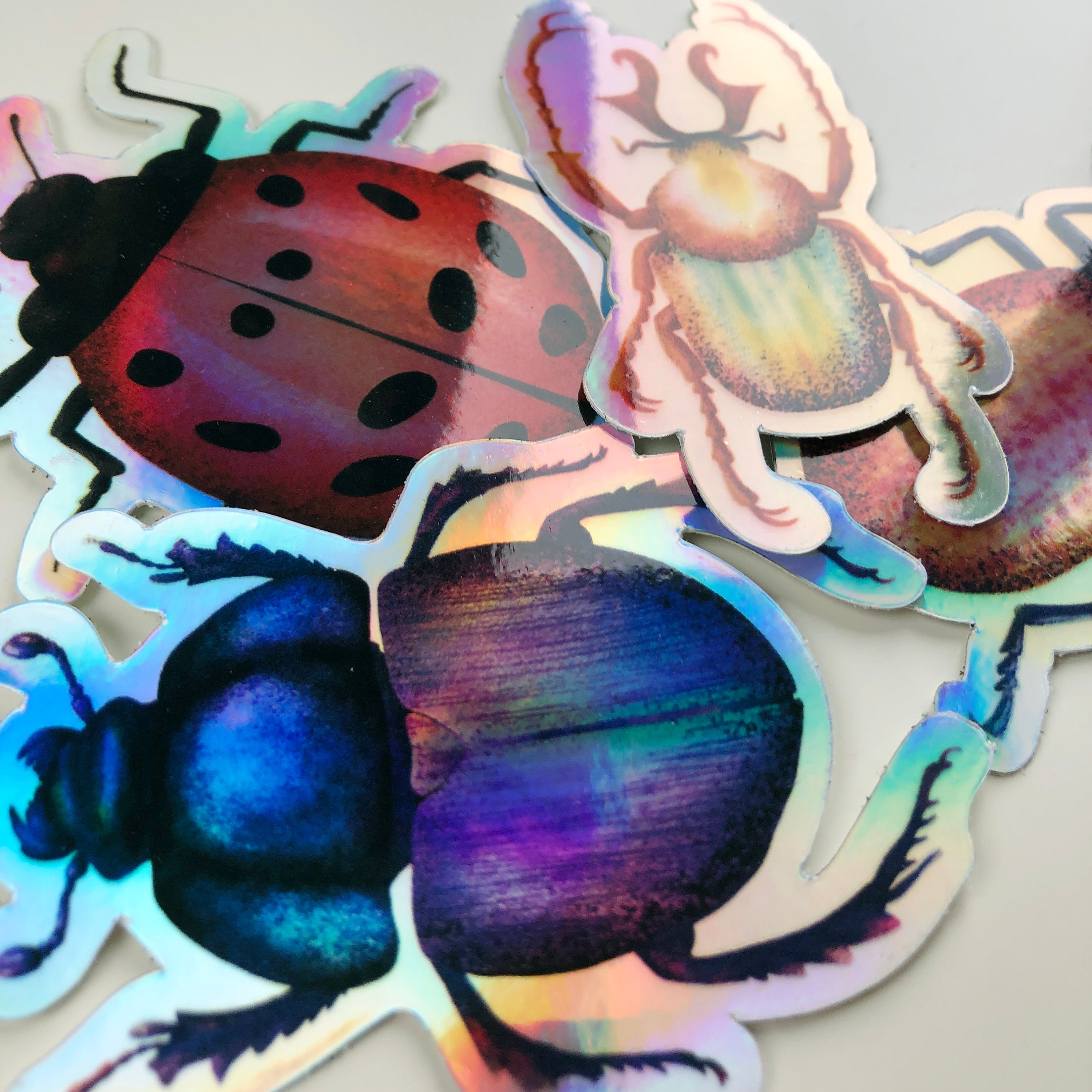Paper & Party Supplies Bug no3 Holographic Sticker Beetle Illustration ...
