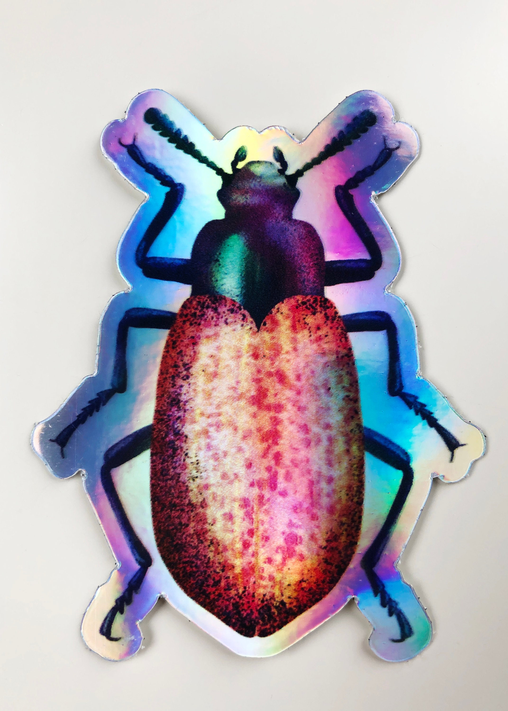 Bugs Holographic Sticker Pack Beetle Illustration Laptop Notebook ...