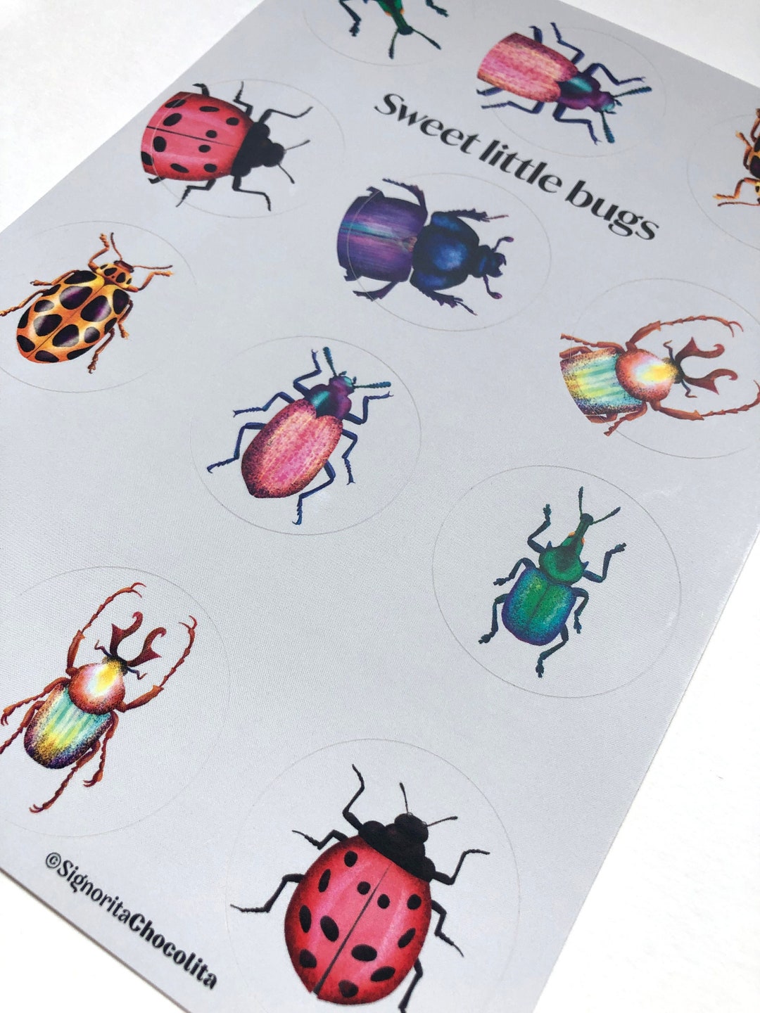 Bugs Sticker Sheet Round Stickers Closing Stickers Decoration ...