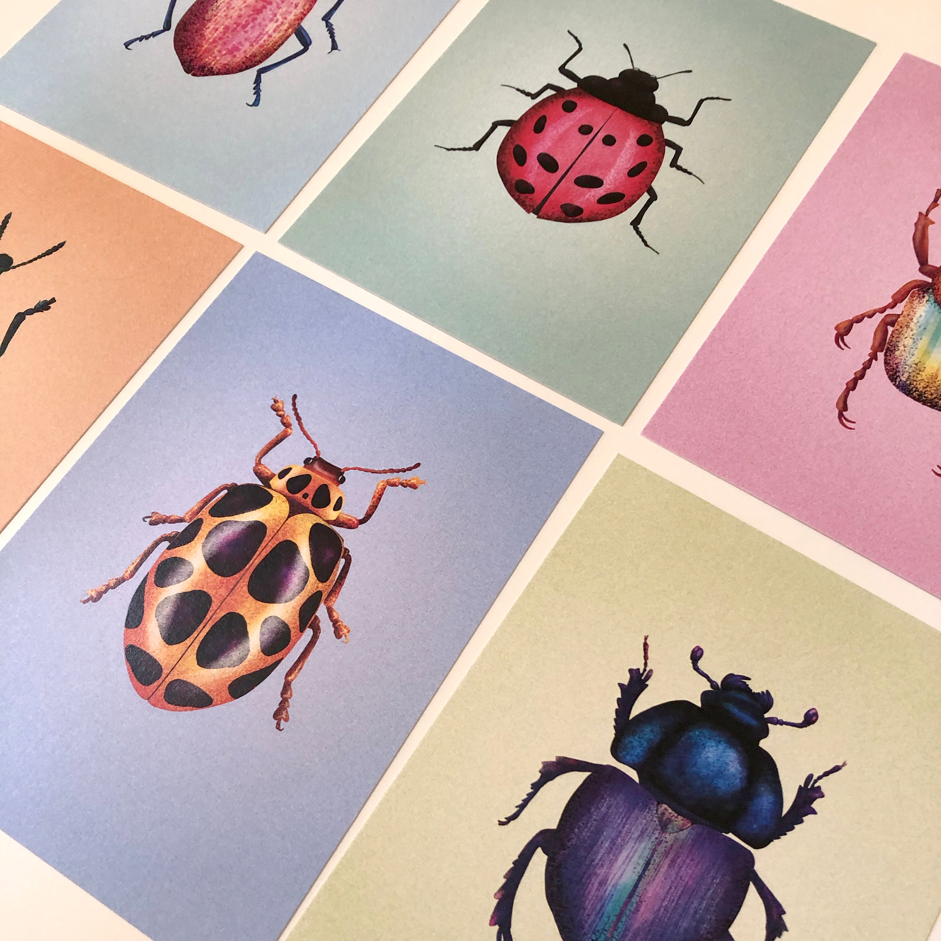 Set de 6 tarjetas con simpáticos bichos ilustrados escarabajos ...