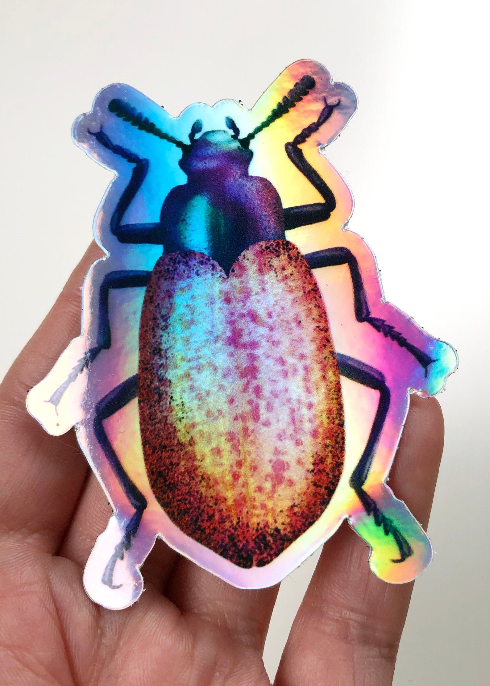 Bug No4 Holographic Sticker Beetle Beetle Illustration Laptop - Etsy