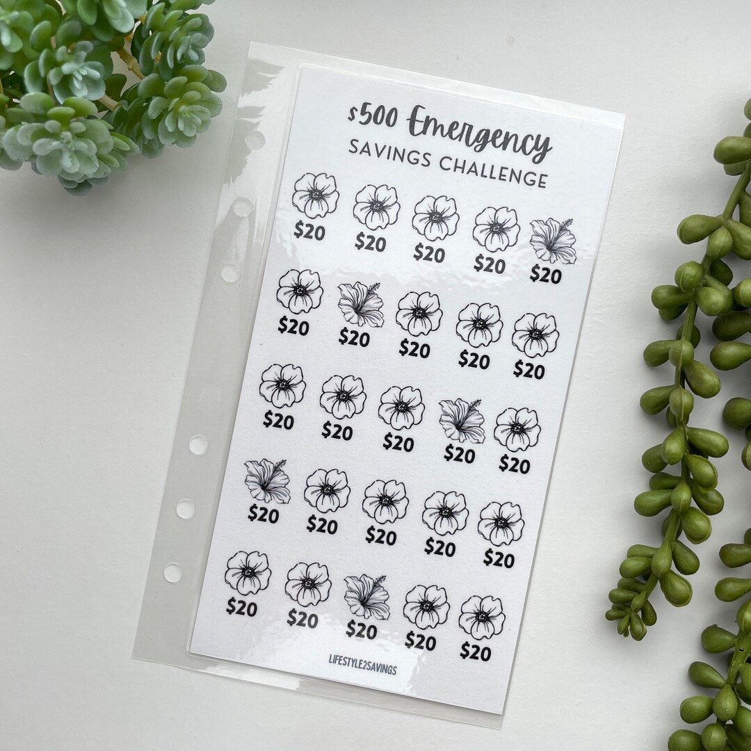 Mini Savings Challenge, Emergency Fund Challenge, Savings Challenge ...