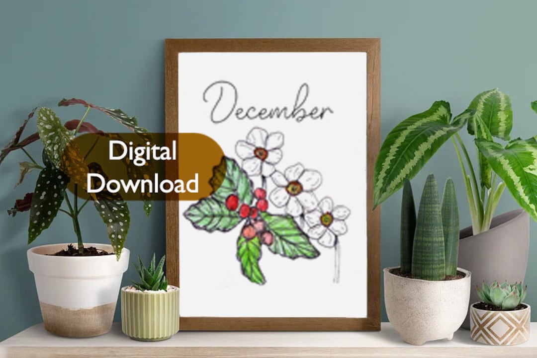 December Birth Flower | Download Digital Art | Flower Print ...