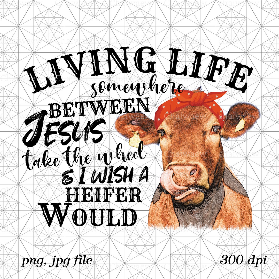 Living life somewhere between jesus take the wheel and i wish a heifer ...