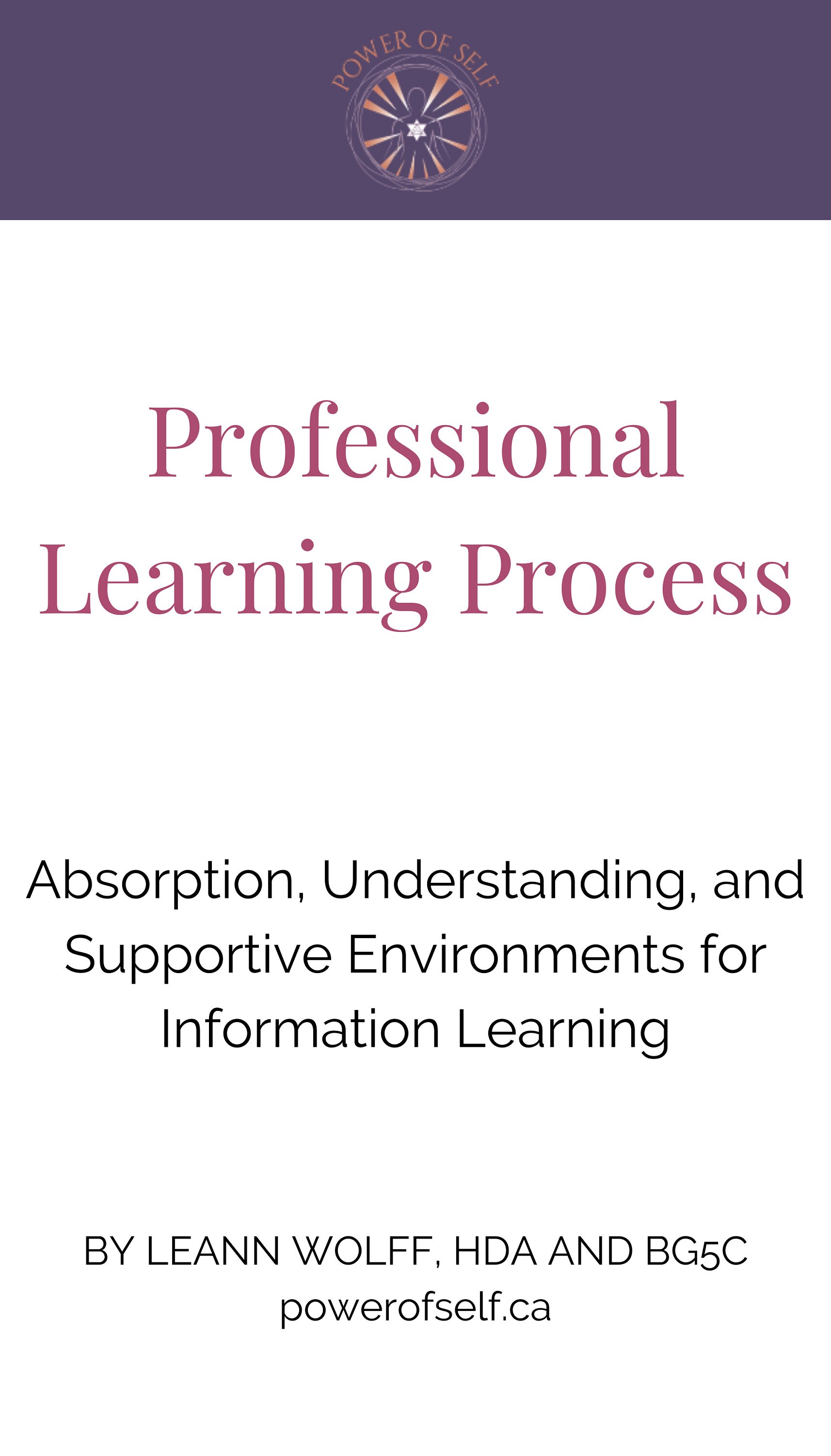 Professional Learning Process PDF Guide - Etsy