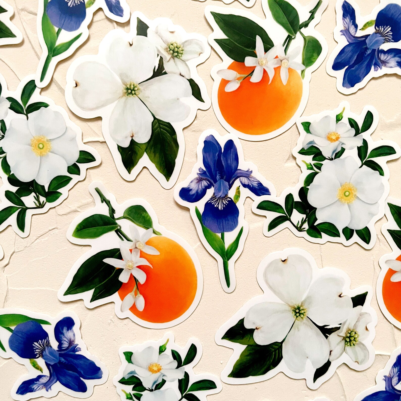 Tennessee State Flower Die-cut Vinyl Sticker, Iris Sticker, Flower ...