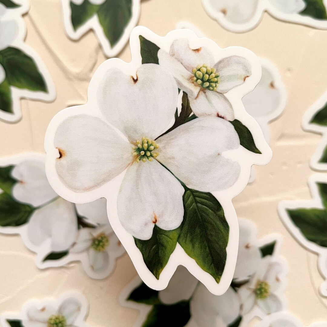 Virginia State Flower Die-cut Vinyl Sticker, Dogwood Sticker, Virginia ...