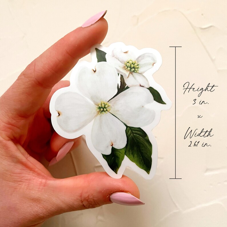 Virginia State Flower Die-cut Vinyl Sticker, Dogwood Sticker, Virginia ...