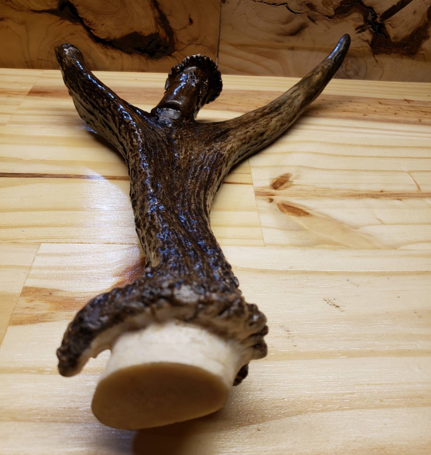 Moose Antler Pipes! - Etsy