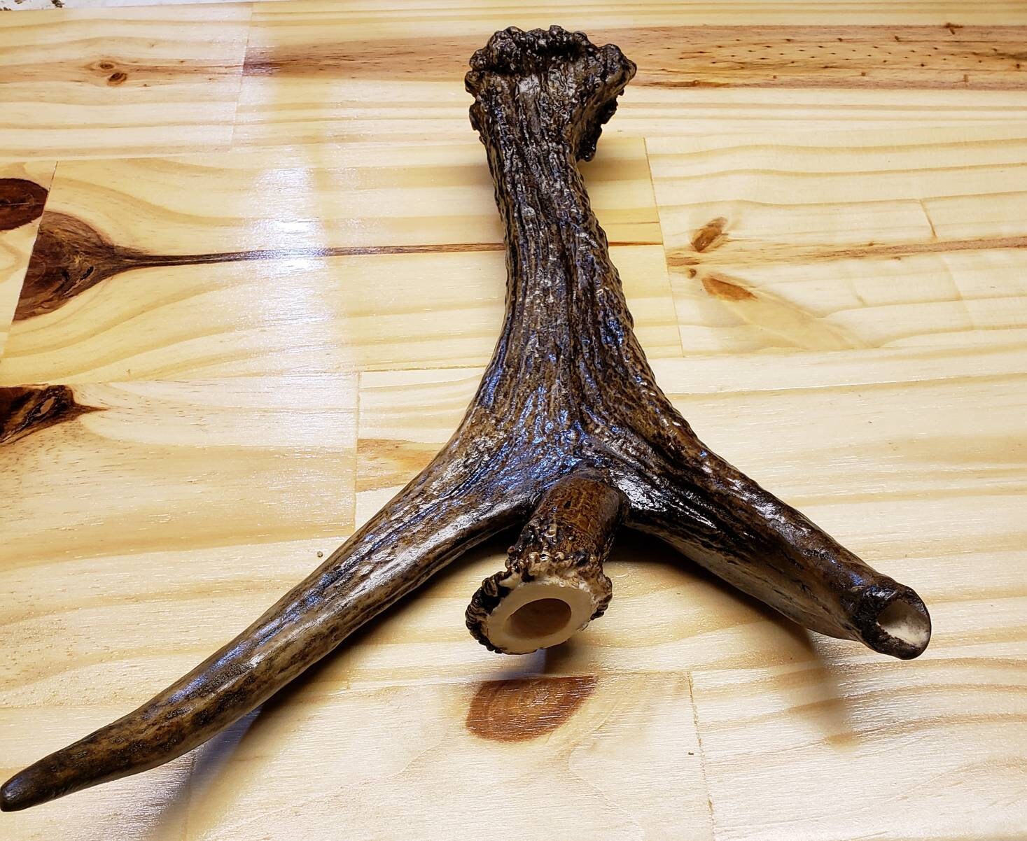 Moose Antler Pipes! - Etsy
