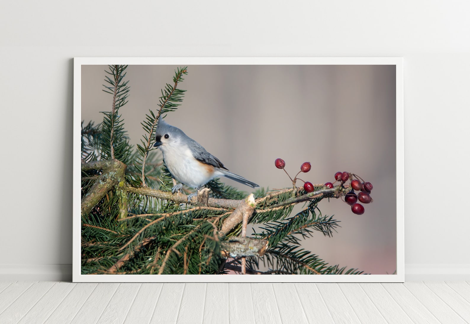 Tufted Titmouse Bird Printable Digital Download Michigan - Etsy