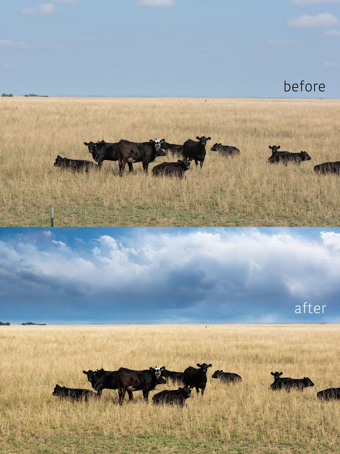 25 Cloud Overlays High Quality, Natural Looking Sky Cloud Textures ...