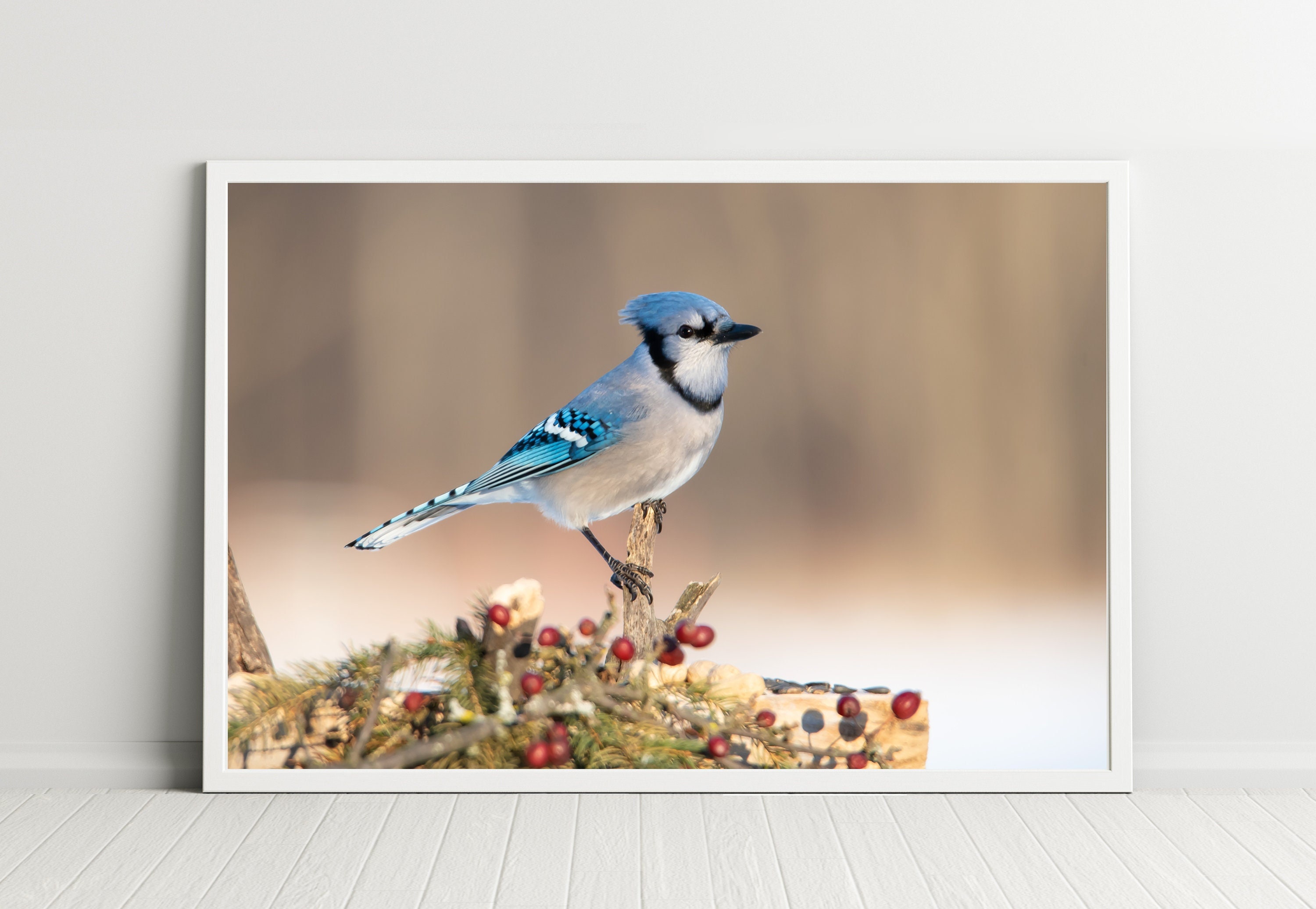 Bluejay Bird Printable Christmas Decor Blue Jay Digital - Etsy