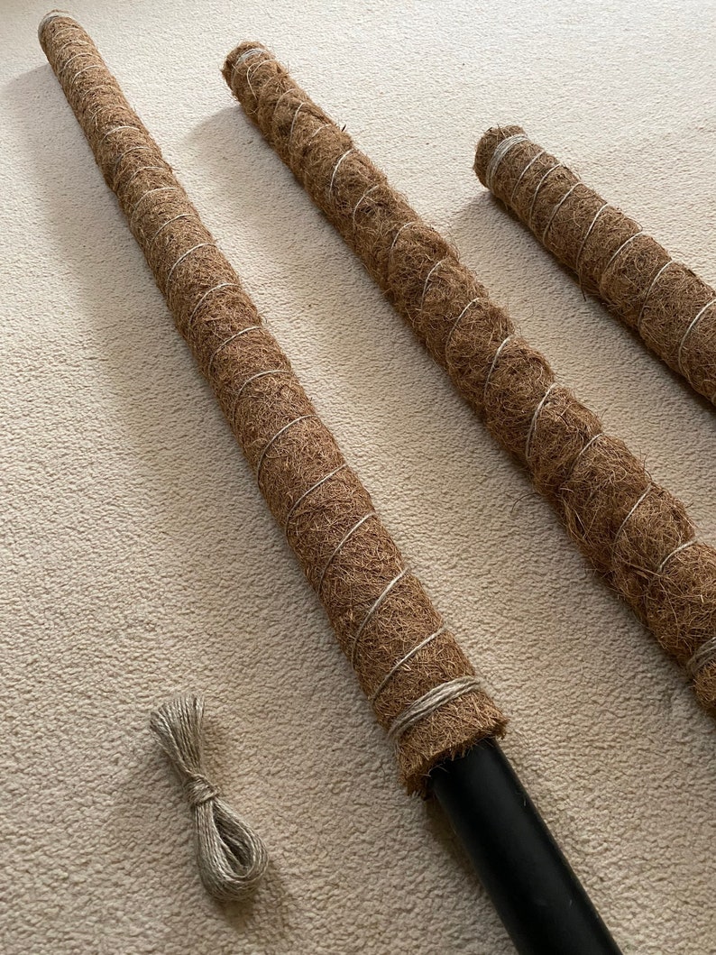 Coco Moss Pole Plant Support Free Twine - Etsy UK