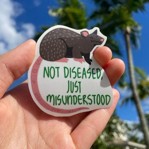 Not Diseased Just Misunderstood Rat Sticker Handcut Vinyl | Etsy