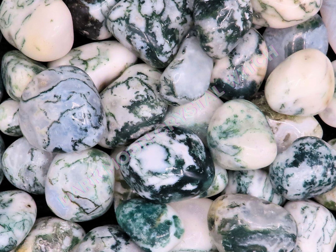 Green Tree Agate Stones (3 Stones), Tumbled Gemstones, Polished Agate Stones, Metaphysical ...