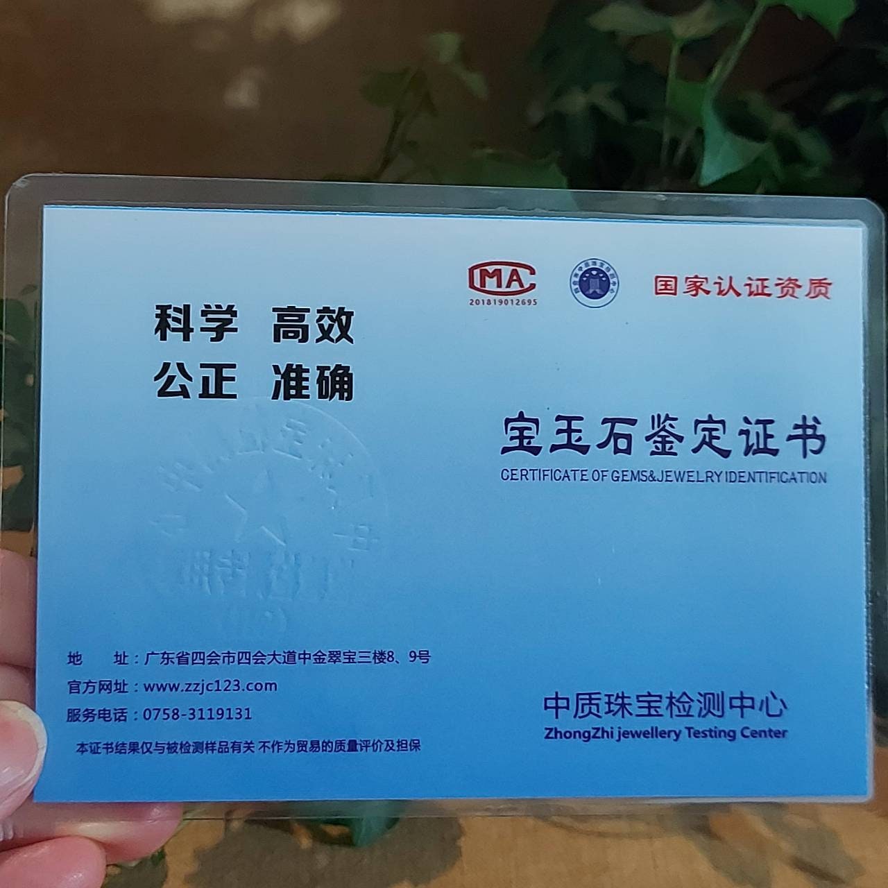 Djade Certified Natural Green A Jadeite Jade Pendant Carved | Etsy