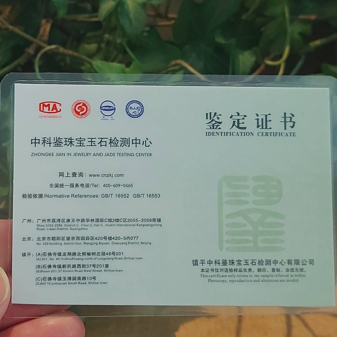 Djade-certified Natural Green Grade A Jade Jadeite Chinese - Etsy