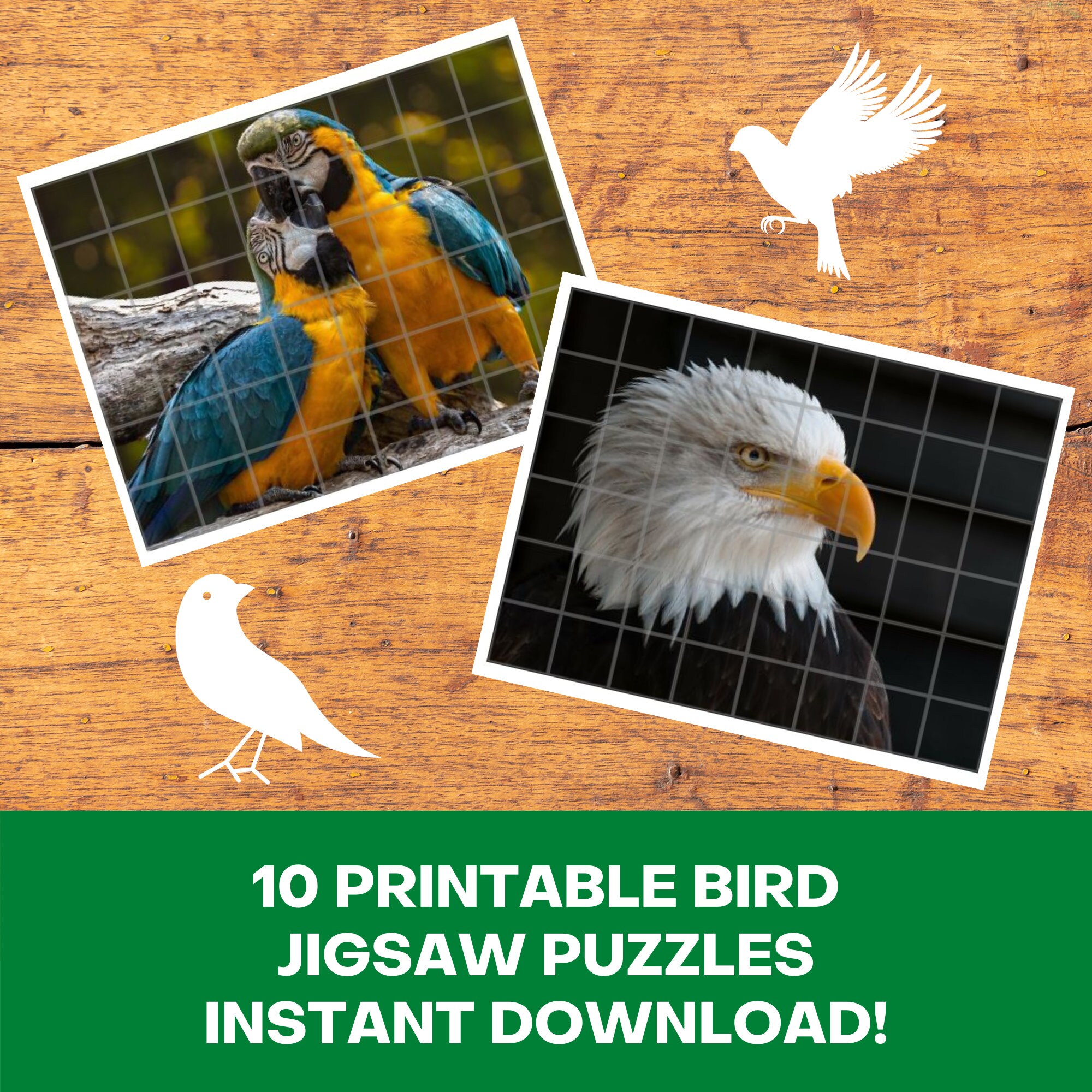 10 Printable Bird Jigsaw Puzzles Bundle, Each Jigsaw Has 48 Pieces ...
