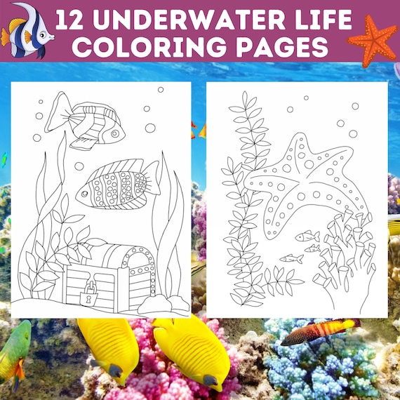 12 Beautiful Underwater Sea Coloring Pages Marine Life - Etsy