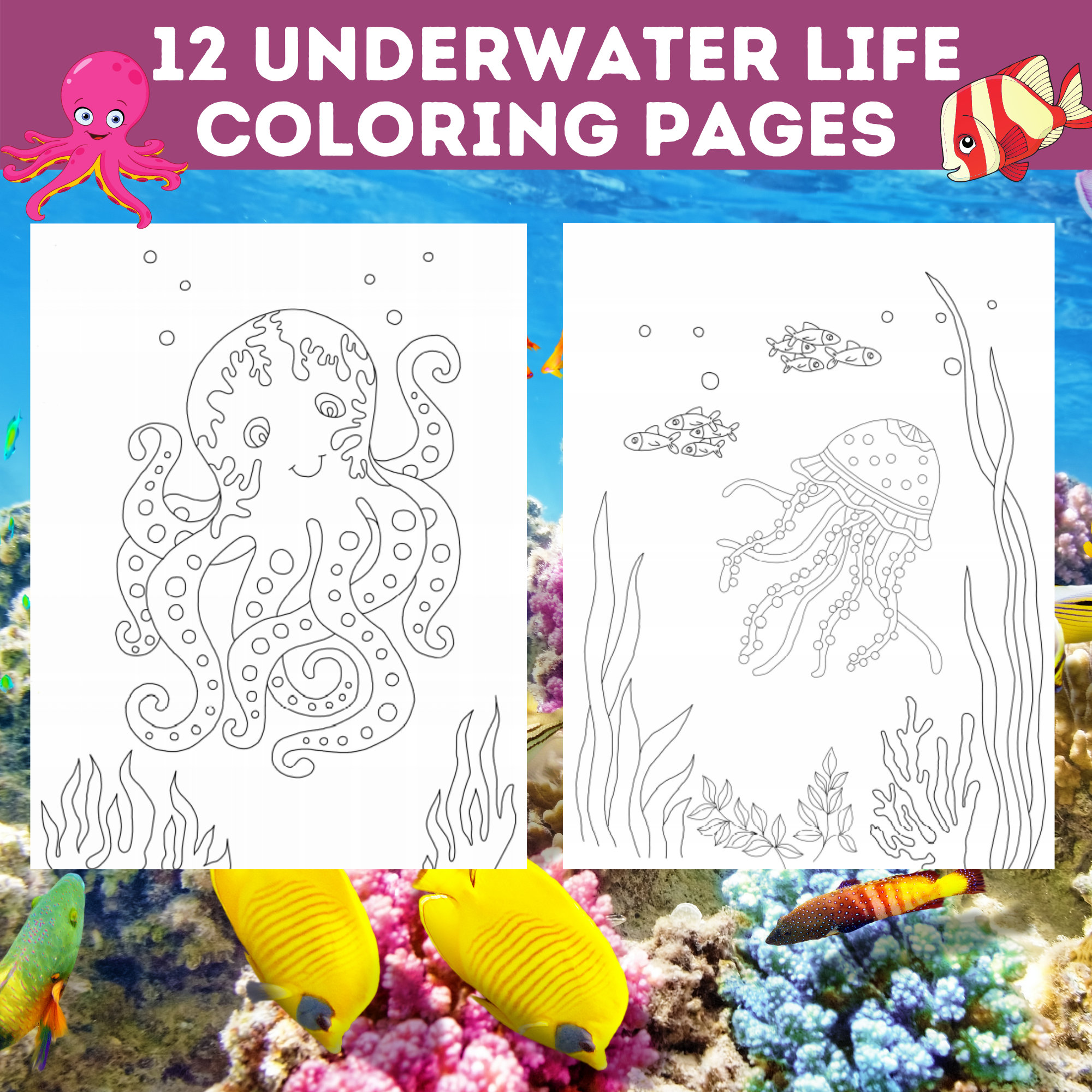 12 Beautiful Underwater Sea Coloring Pages Marine Life - Etsy