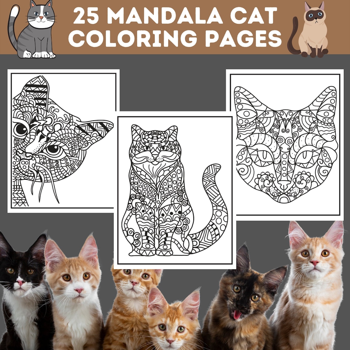 25 Mandala Cat Coloring Page Bundle, Kitten Printables to Color ...