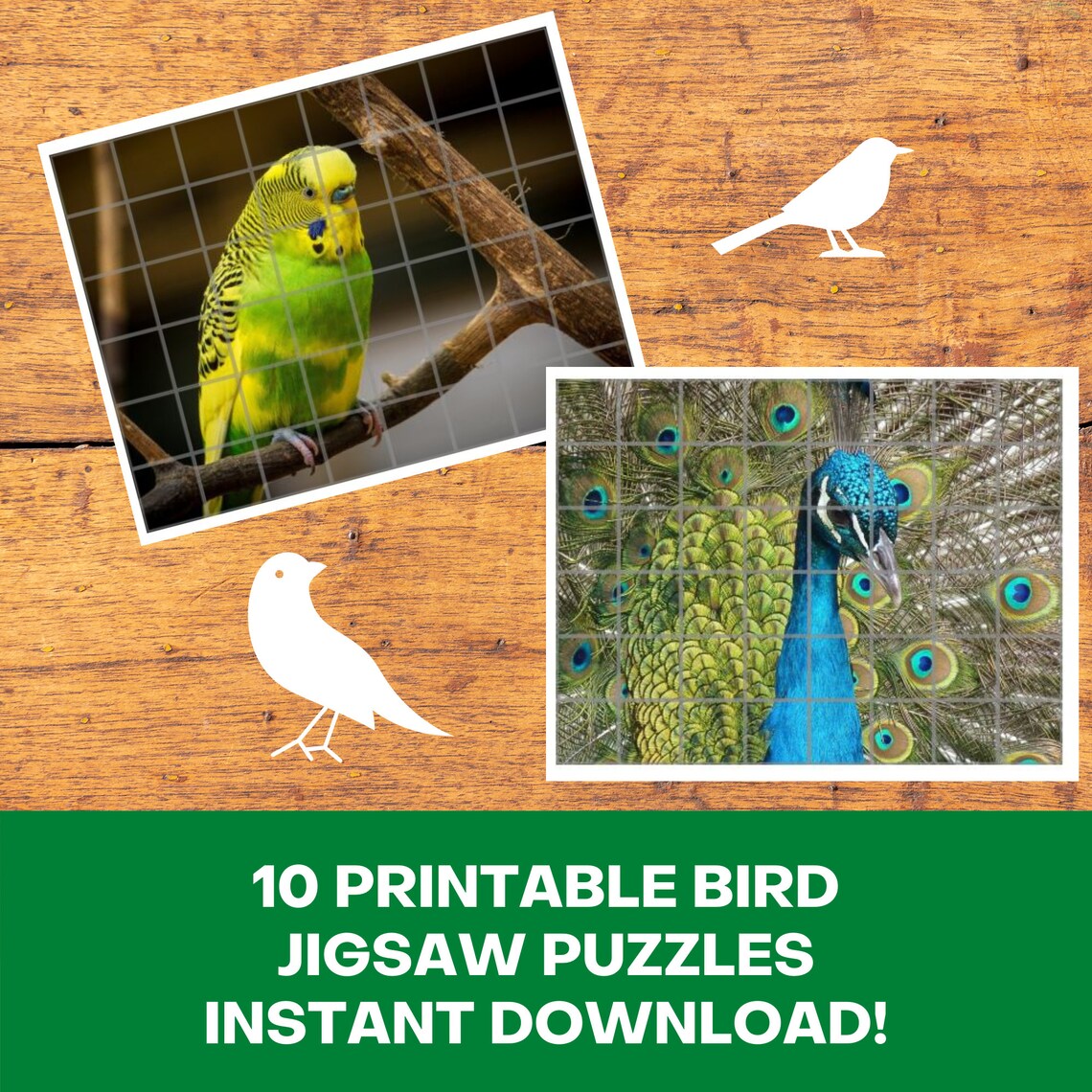10 Printable Bird Jigsaw Puzzles Bundle Each Jigsaw Has 48 | Etsy