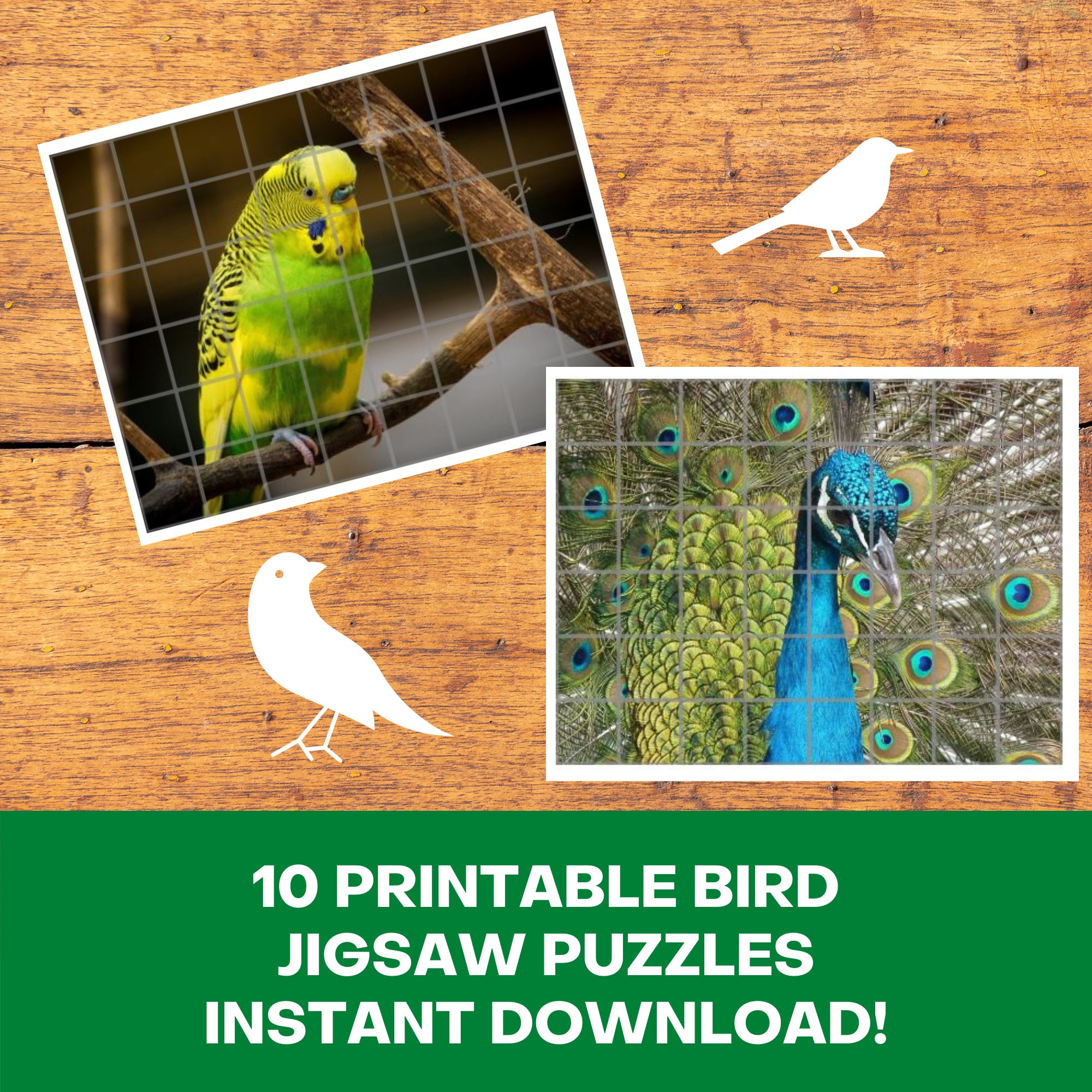 10 Printable Bird Jigsaw Puzzles Bundle Each Jigsaw Has 48 - Etsy