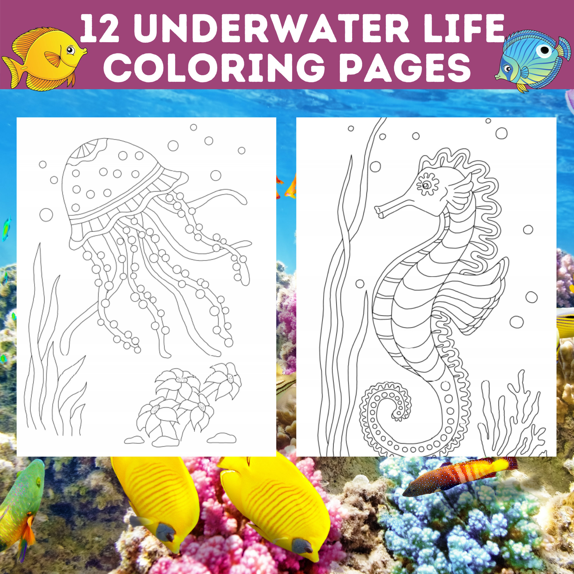12 Beautiful Underwater Sea Coloring Pages, Marine Life Printable ...