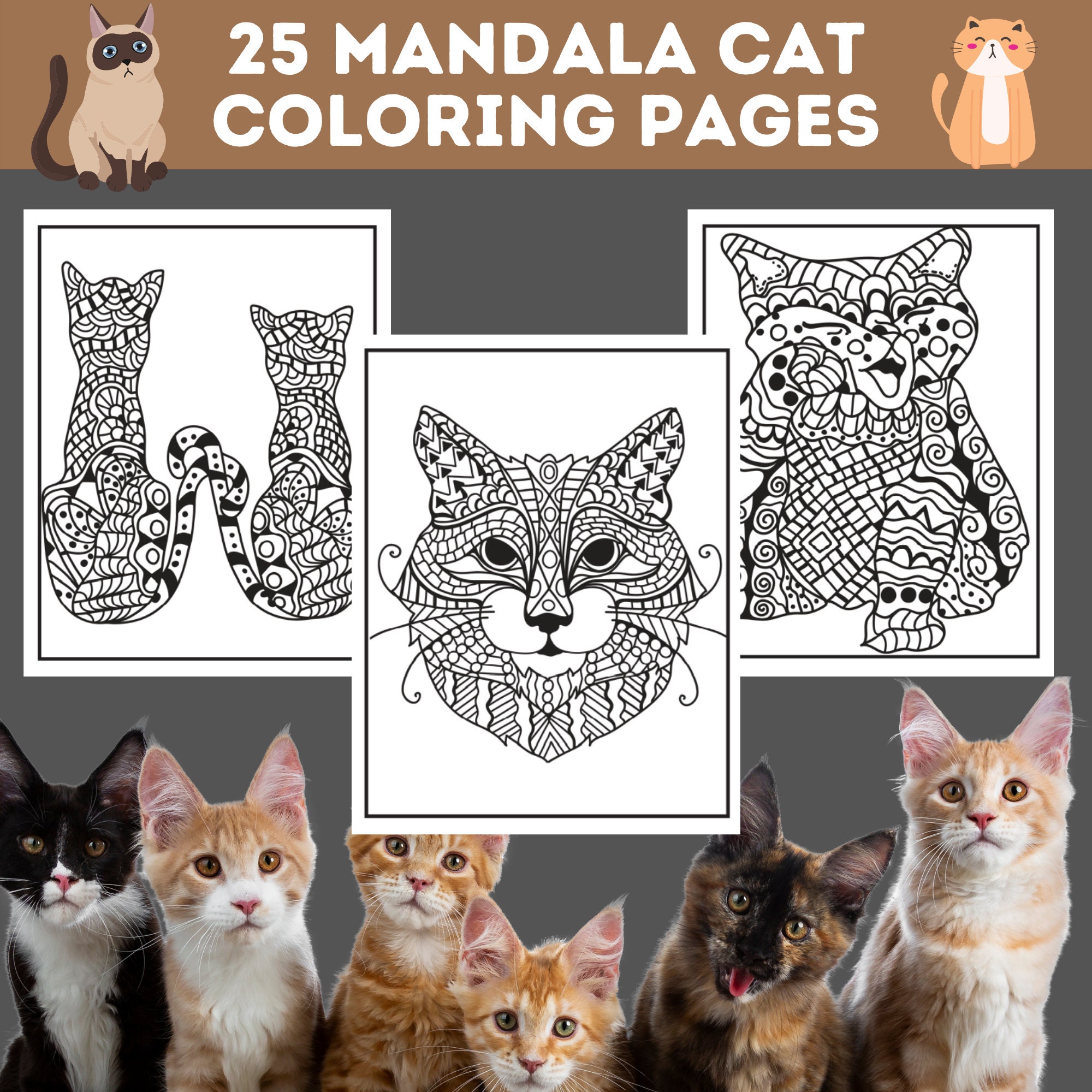 25 Mandala Cat Coloring Page Bundle, Kitten Printables to Color ...