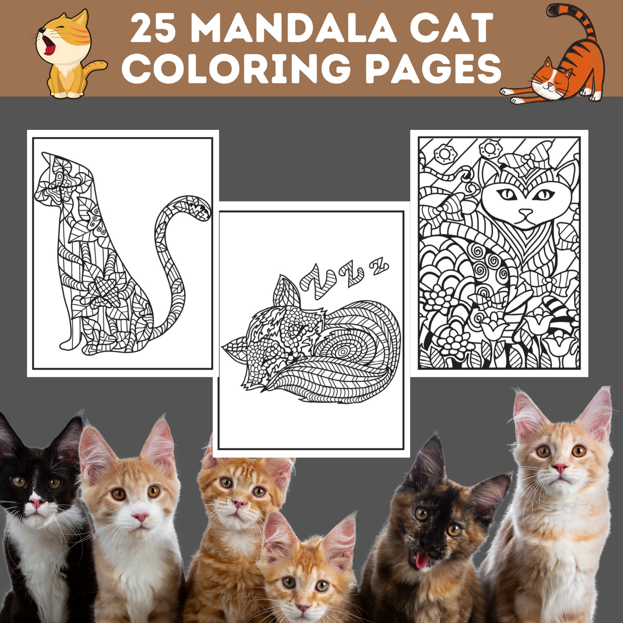 25 Mandala Cat Coloring Page Bundle, Kitten Printables to Color ...