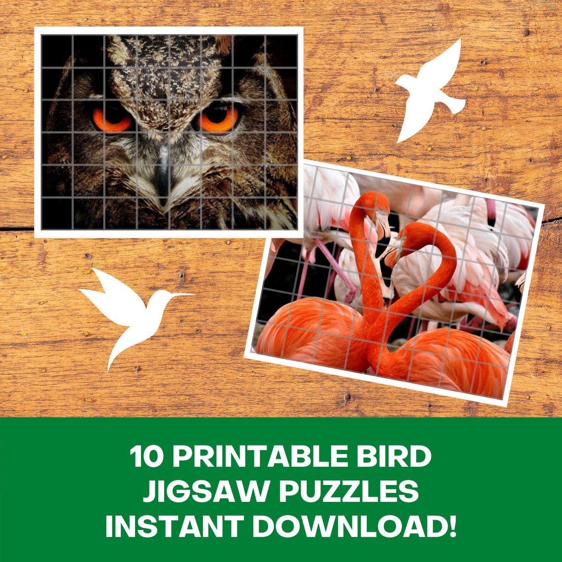 10 Printable Bird Jigsaw Puzzles Bundle Each Jigsaw Has 48 | Etsy