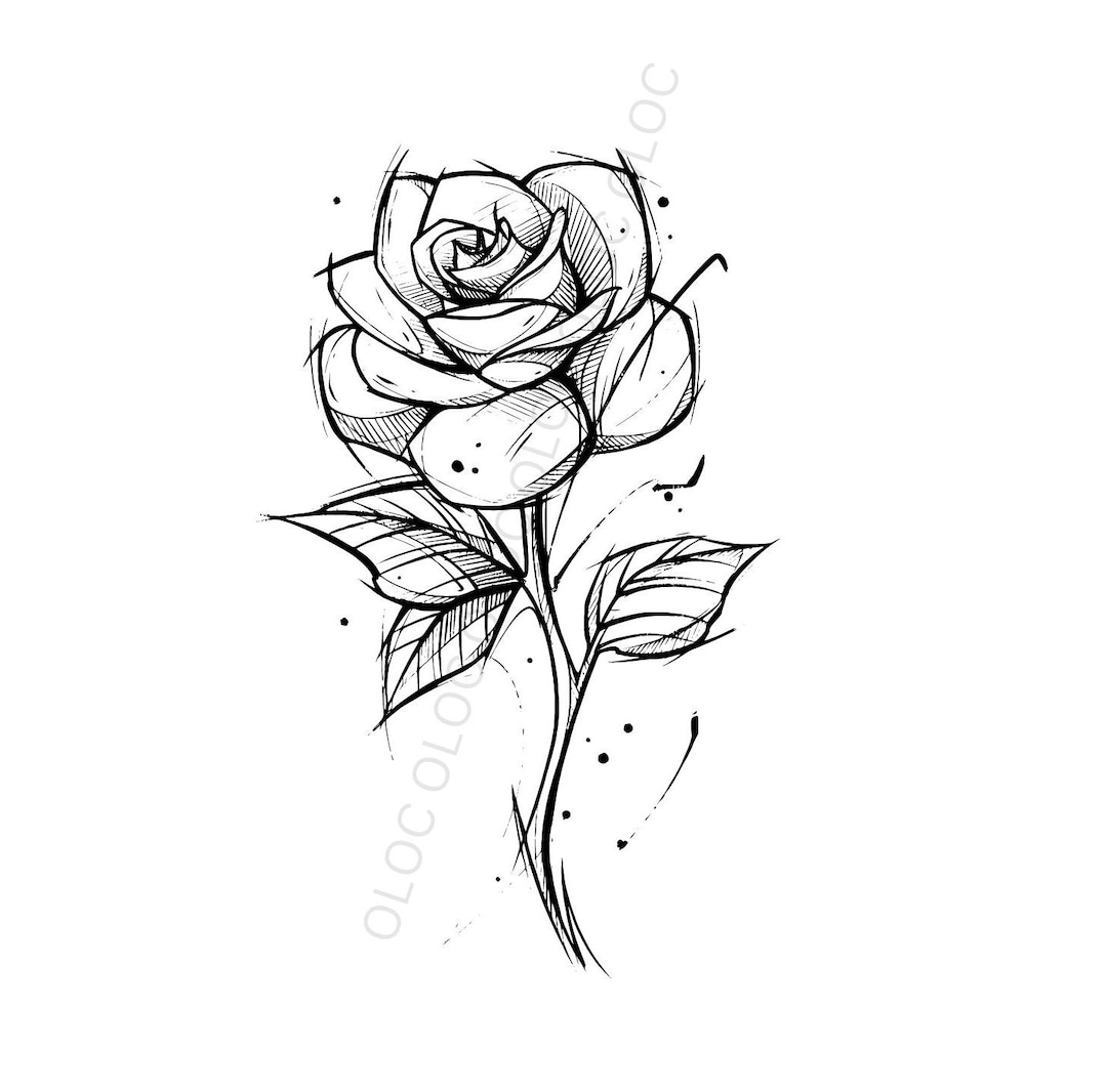 Rose Hand Drawn Sketch File Clip Art PNG SVG JPG Digital Download Art ...