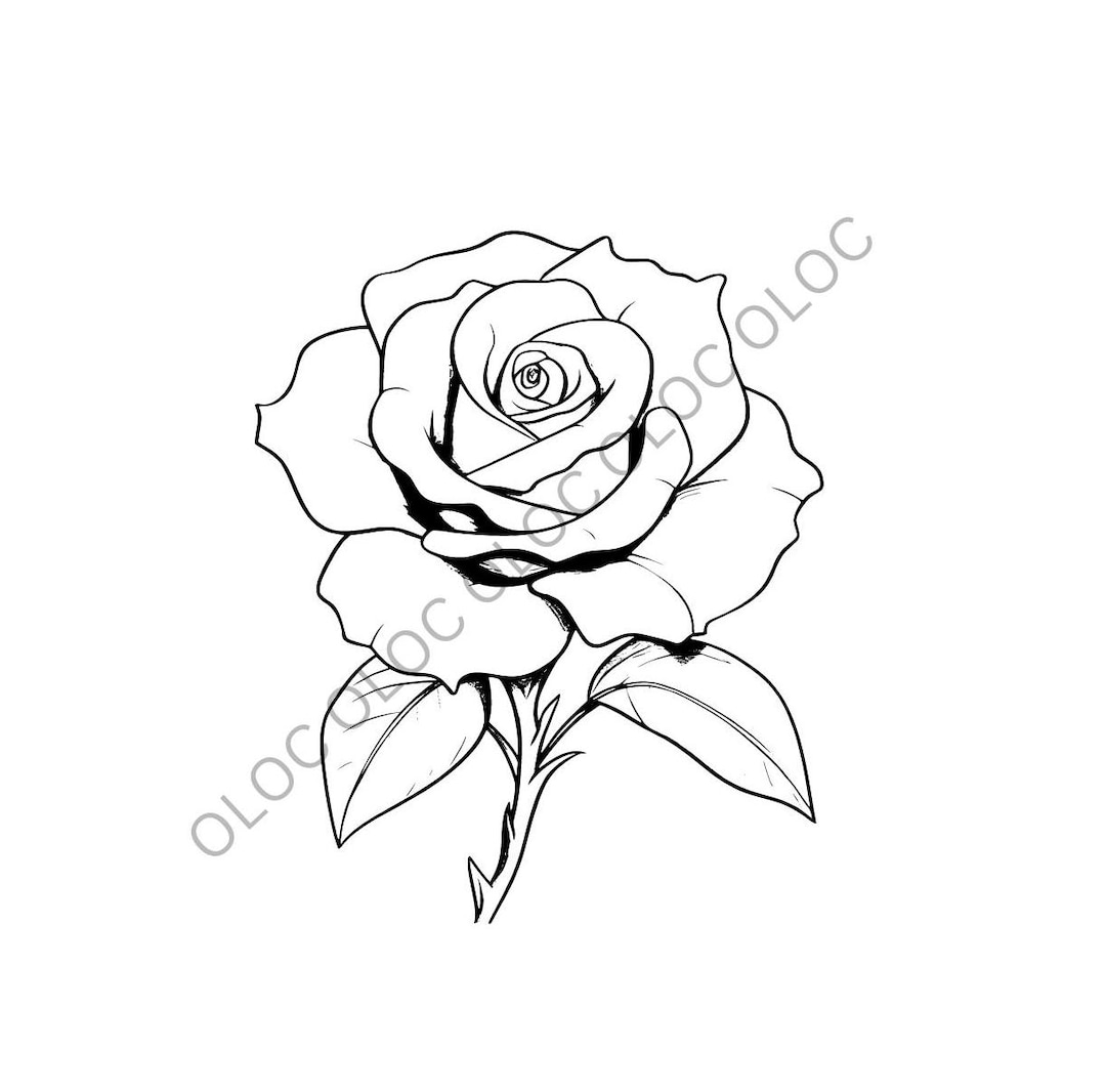 Single Drawn Rose Sketch File Clip Art PNG SVG JPG Digital Download Art ...