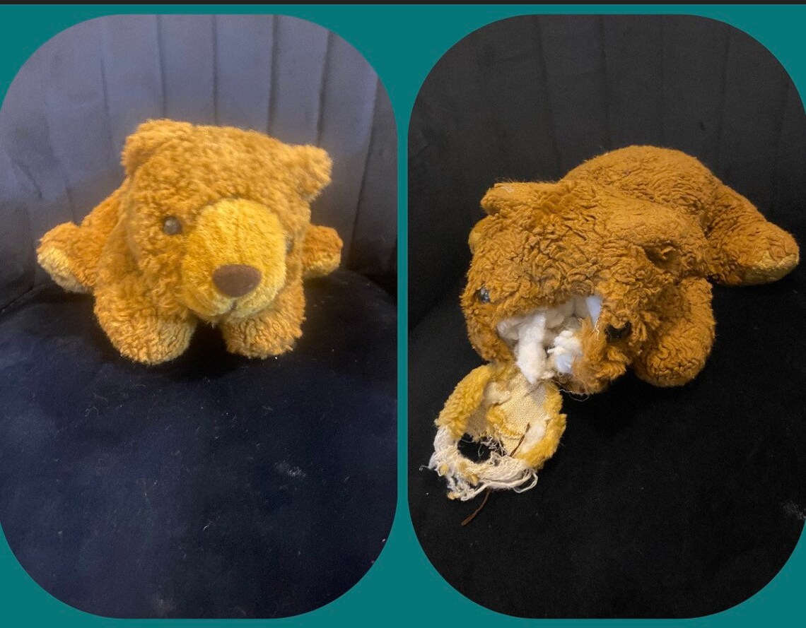 Stuffed animal repair | Etsy