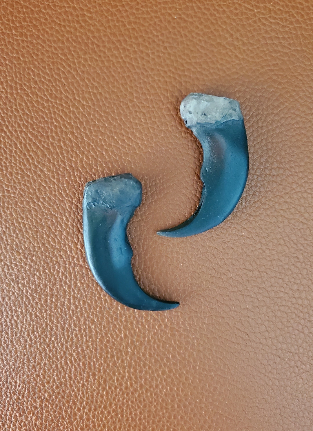 Imitation Bear Claw - 2" - Made From Resin, Great for Necklaces, Crafts ...