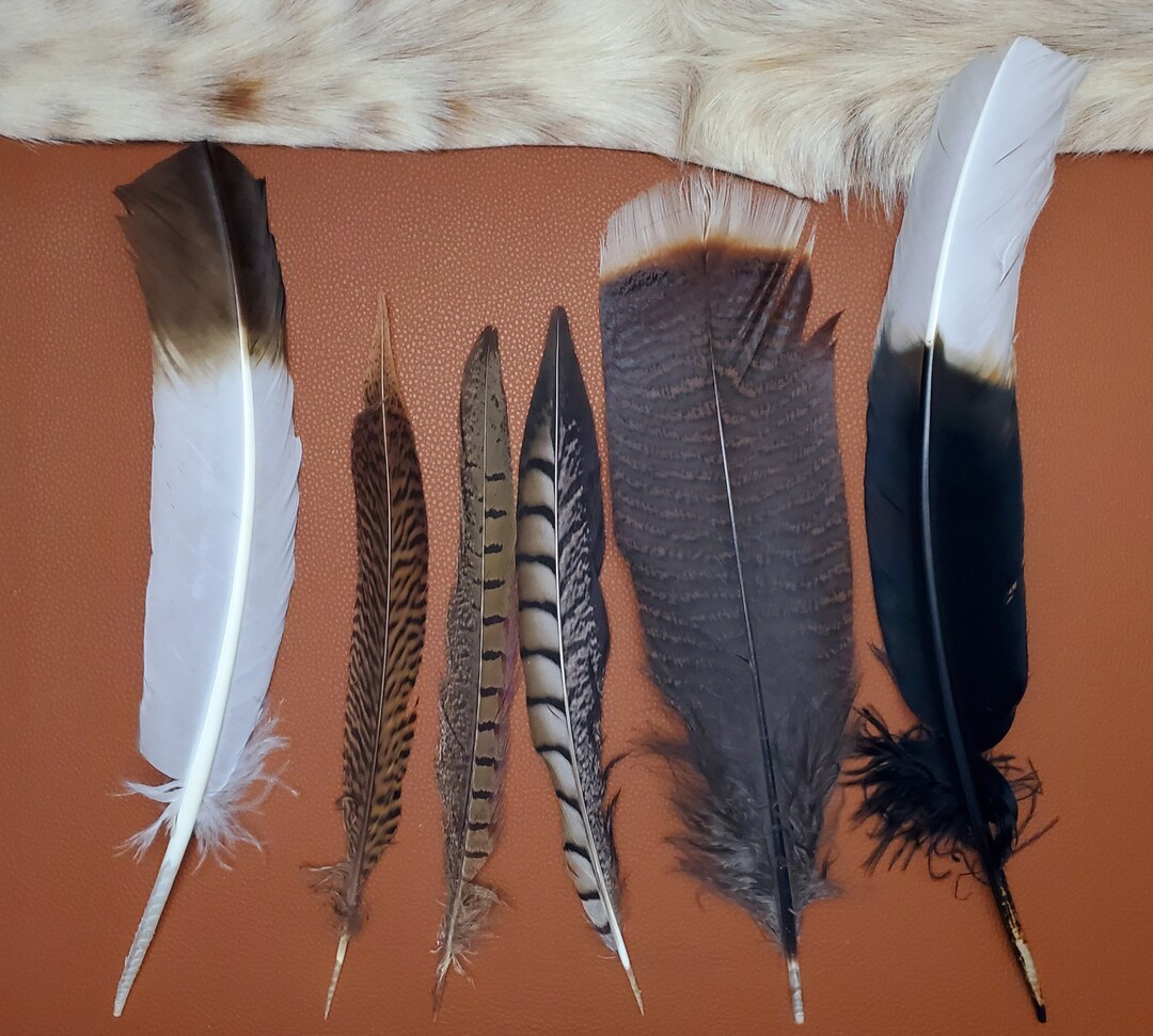 Individual Hat Feather, Imitation Eagle Feather for Your Cowboy, Fedora ...