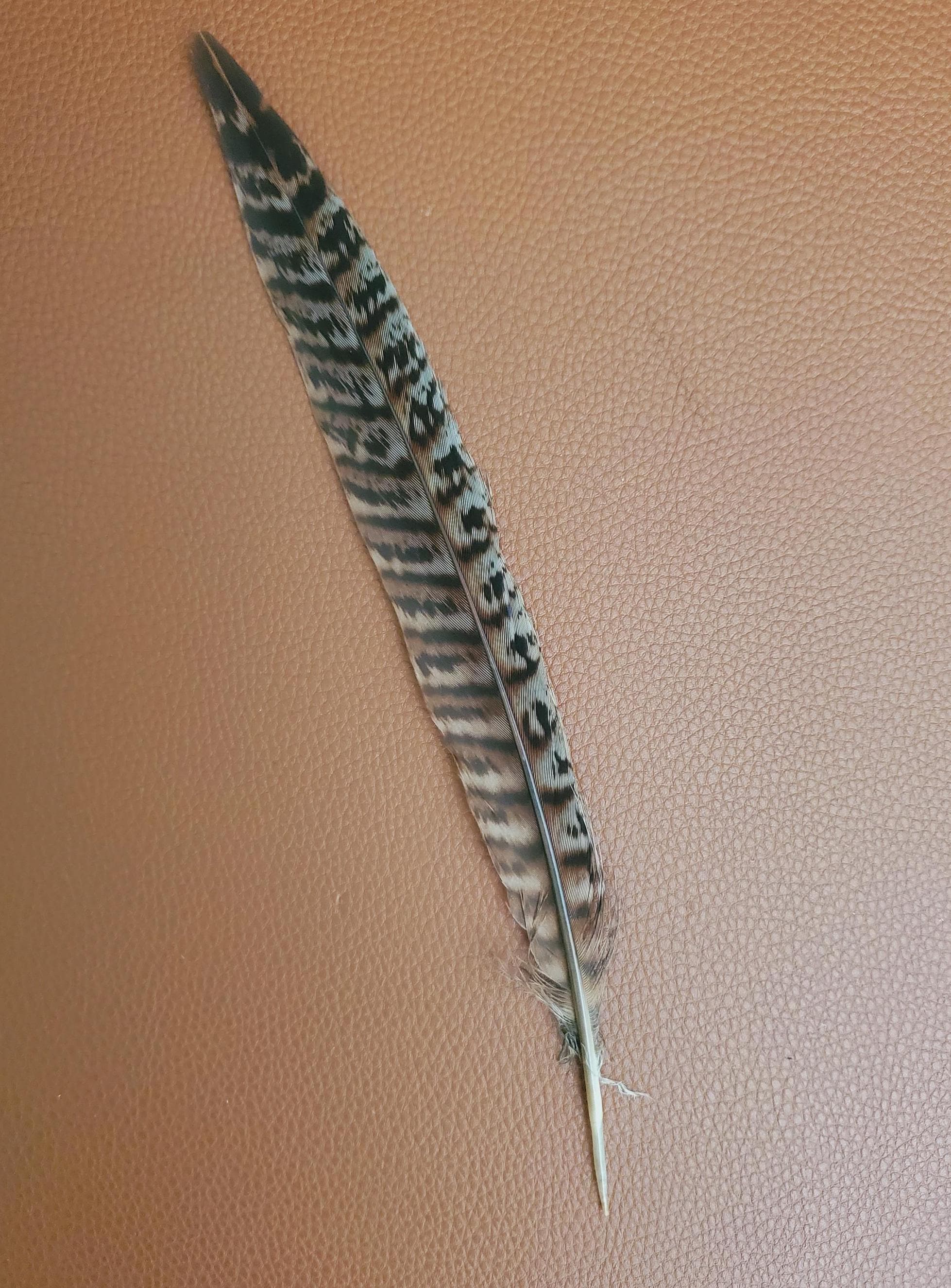 Individual Hat Feather for Cowboy, Fedora, Western, Straw, Panama or ...