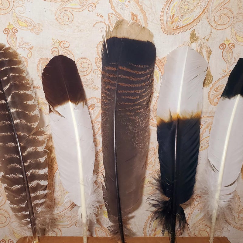 Felt Hat Women Feather - Etsy