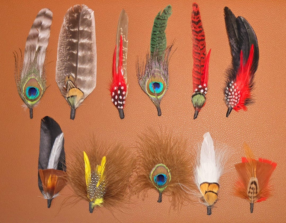 Hat Feathers, Decorative Feathers for Your Fedora, Western, Straw ...