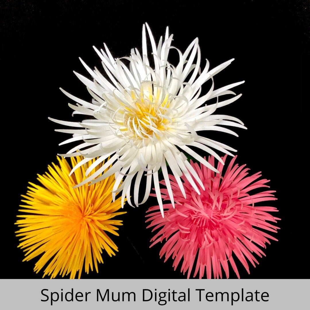 Spider Mum, Chrysanthemum, Small Paper Flower, Paper Flower Template ...