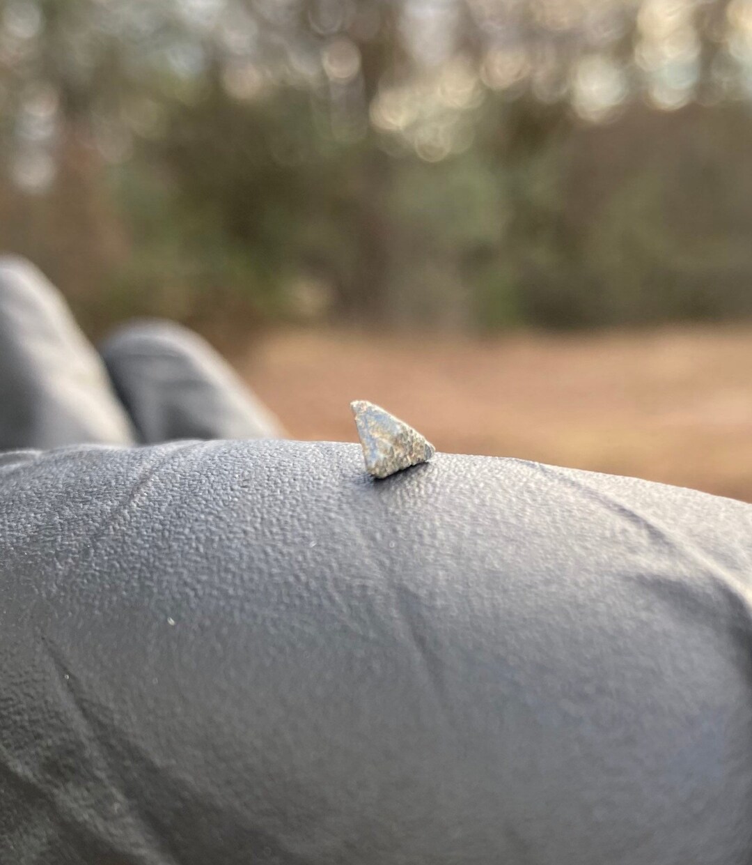 1.5 Ct Benitoite DT Triangle stoney Shielding Psychic Development ...