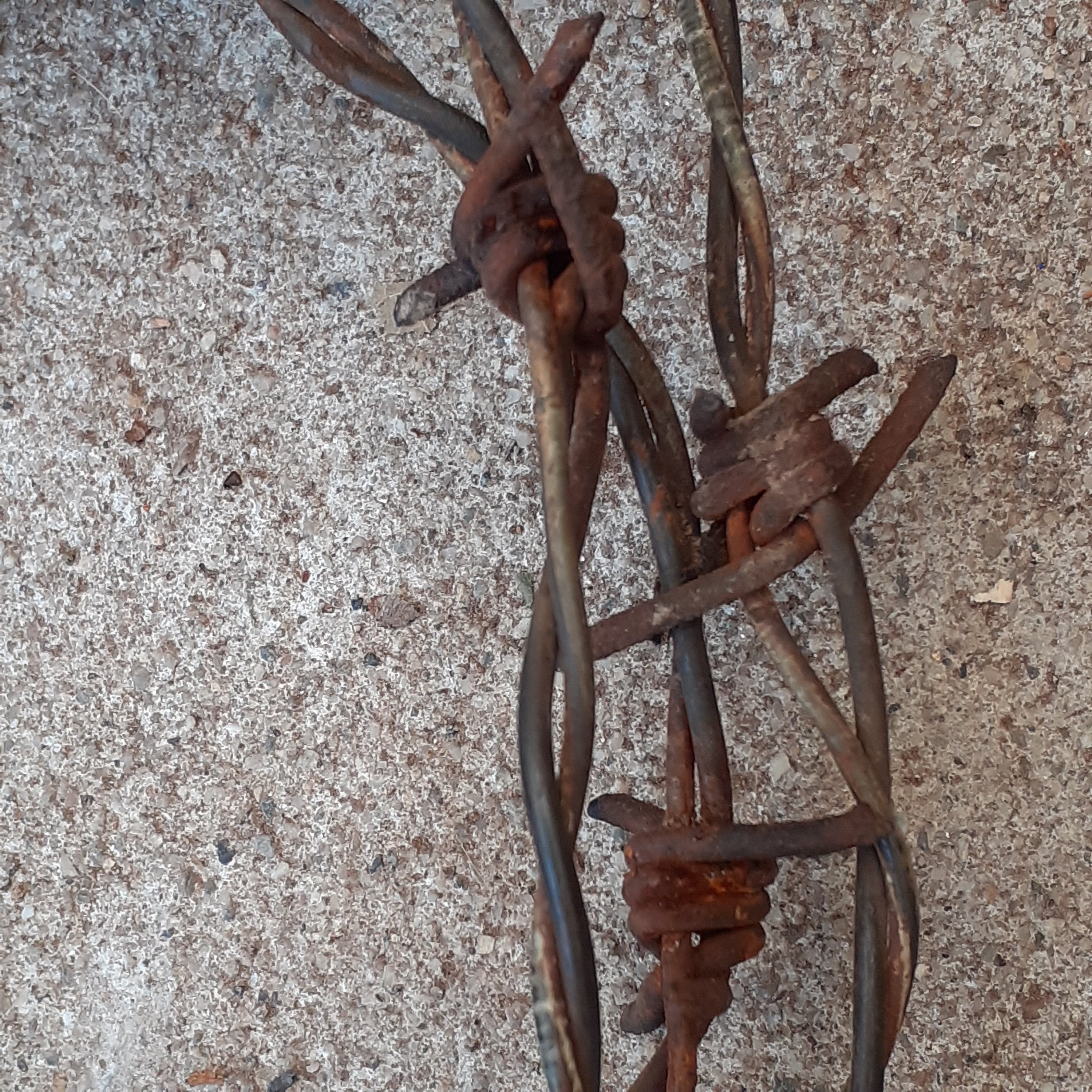 Rusty Barbed Wire, Vintage Item, Barbed Wire Wreath, Gothic, DIY ...