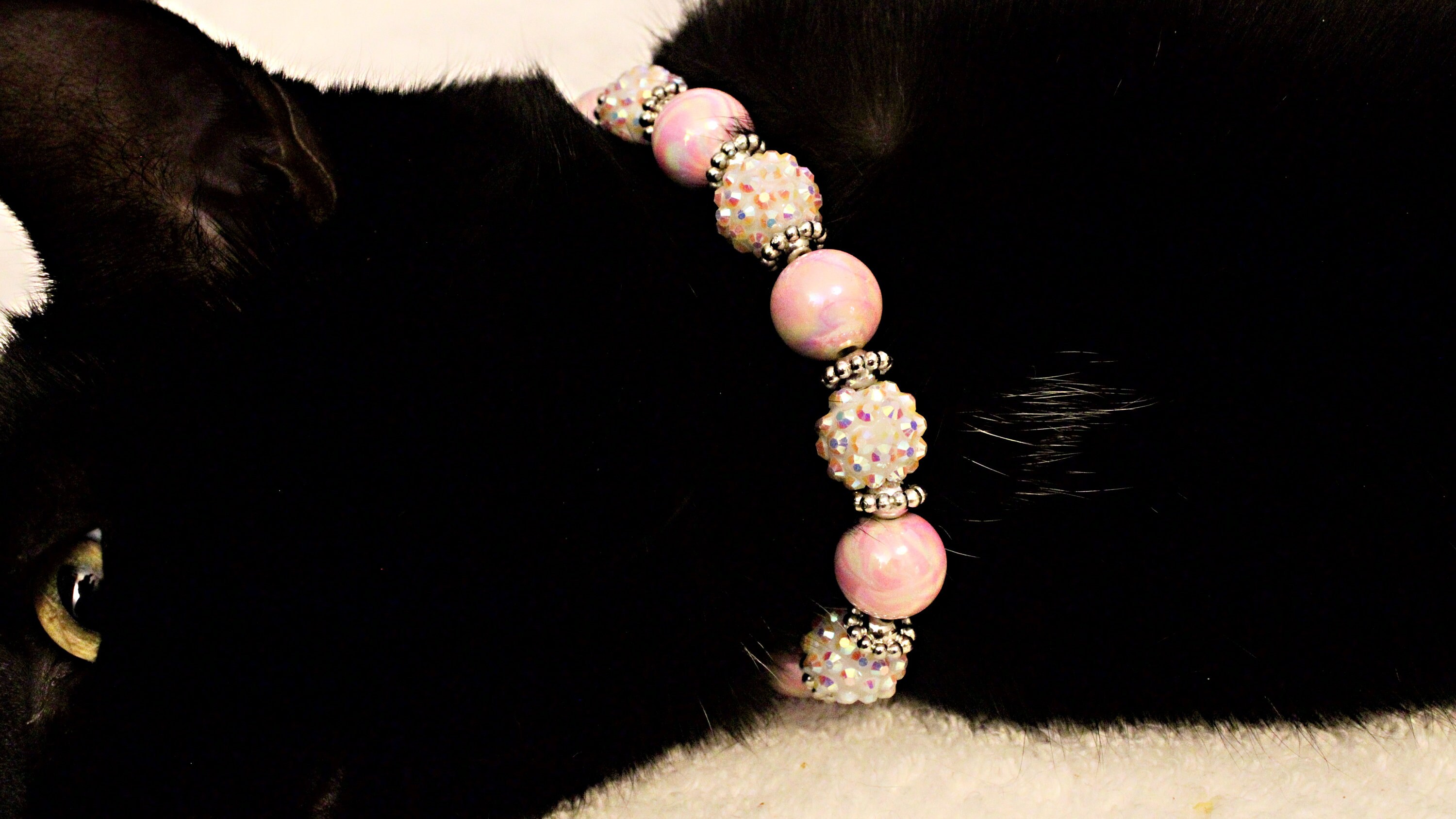 Gumball Sweetie Cat Beaded Luxury Collar Elegant Fancy Cat | Etsy