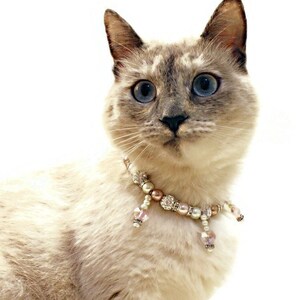 Bling Cat Collar "timeless Hearts" | Cat Wedding Collar | Gift for Pet ...