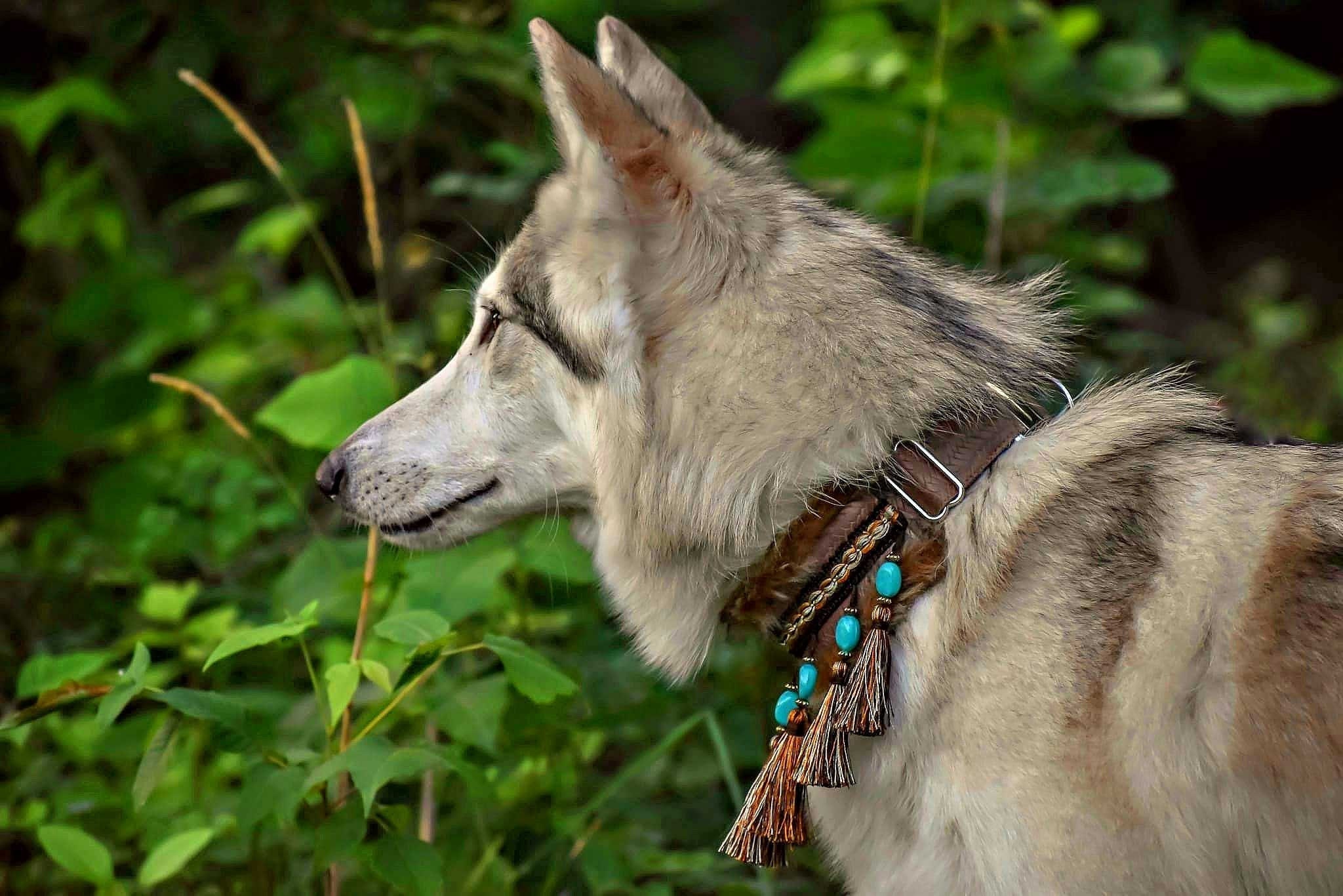 Vegan Leather Tassel Dog Collar W/ Faux Fur Lining ***BUCKLE INCLUDED ...
