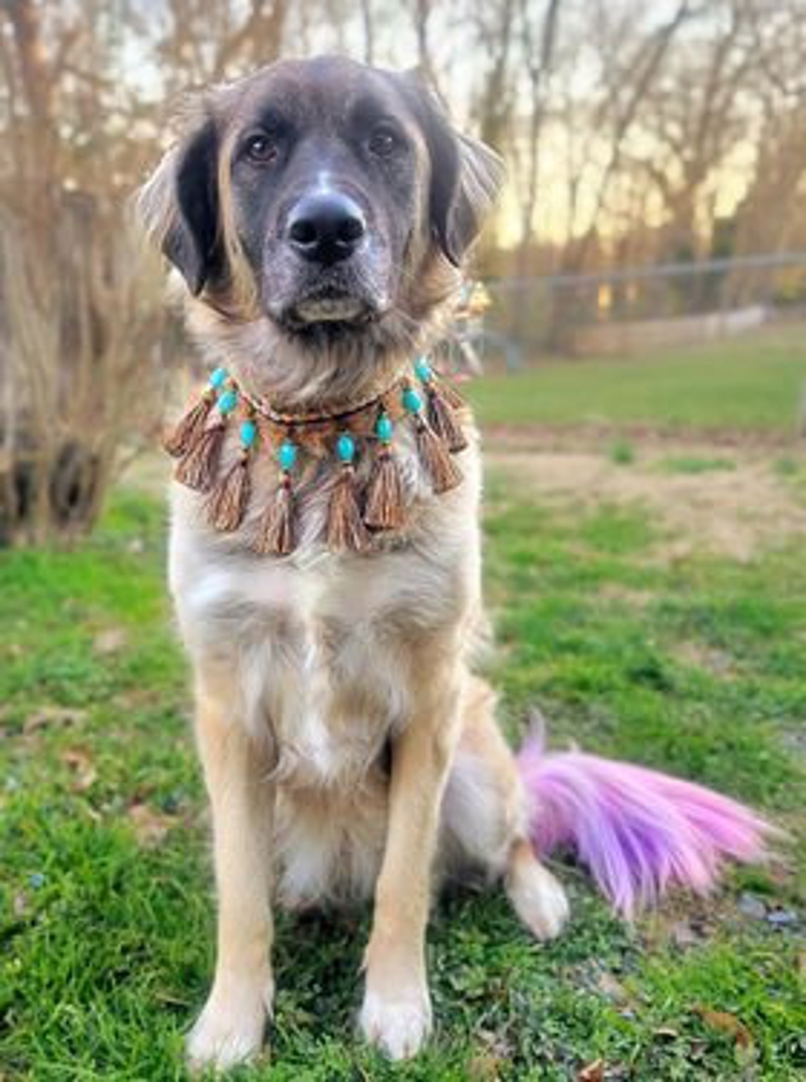 Vegan Leather Tassel Dog Collar W/ Faux Fur Lining ***BUCKLE INCLUDED ...