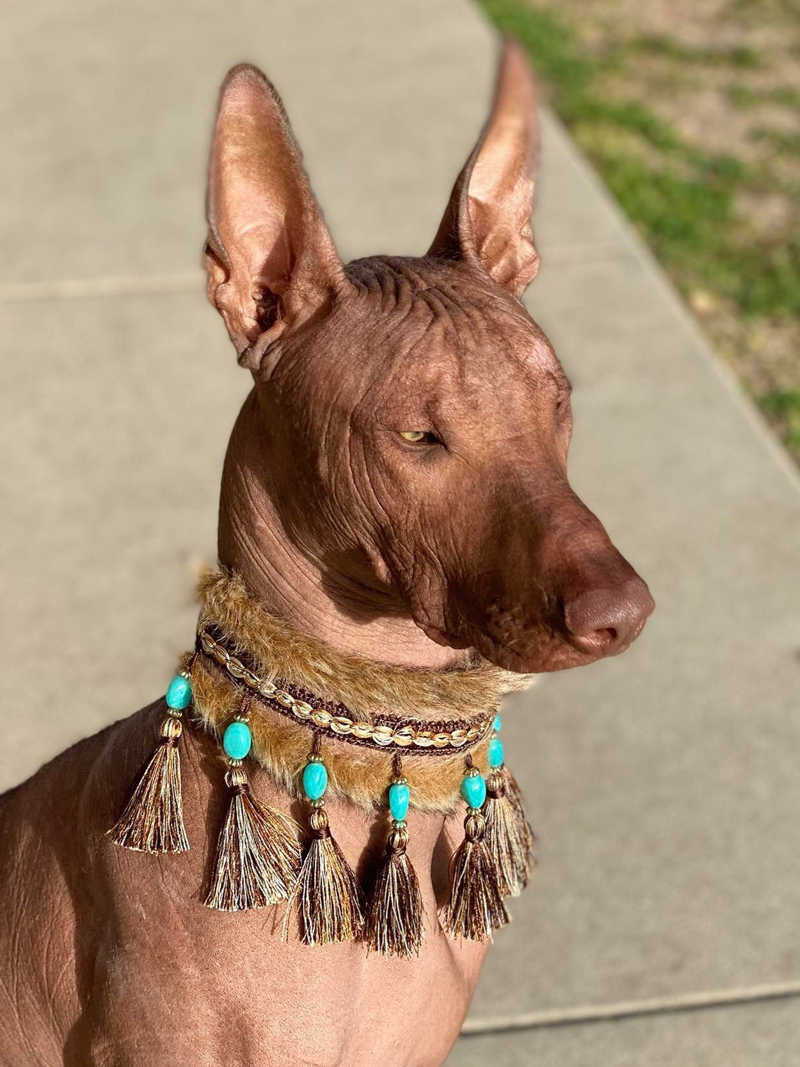 Vegan Leather Tassel Dog Collar W/ Faux Fur Lining ***BUCKLE INCLUDED ...