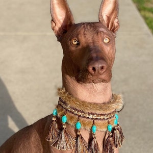 Vegan Leather Tassel Dog Collar W/ Faux Fur Lining ***BUCKLE INCLUDED ...